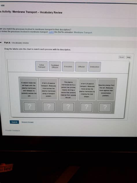 Bioflix Activity Membrane Transport Vocabulary Review