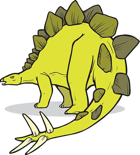 Royalty Free Stegosaurus Clip Art Vector Images And Illustrations Istock