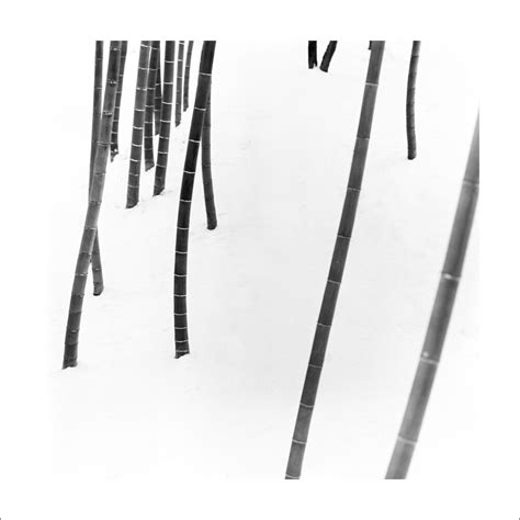 1월 중순 폭설 100tmax