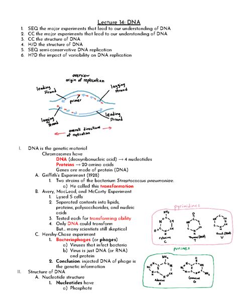 Biology Chapter 14 DNA Lecture 14 DNA SEQ The Major Experiments
