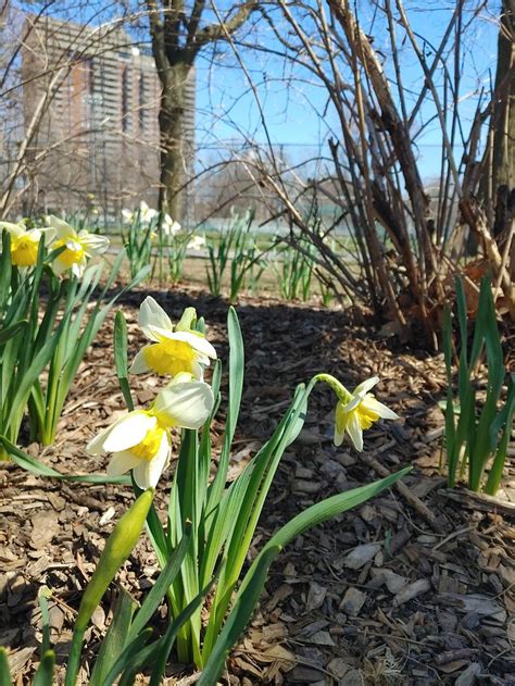 월요일 한 주의 시작과 점심산책