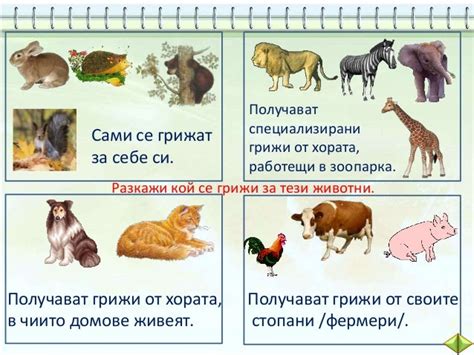 Животните около нас 2 клас В П