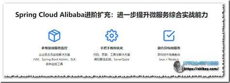 Spring Cloud Alibaba微服务从入门到进阶无密完结百度云下载 天下无鱼 资源博客