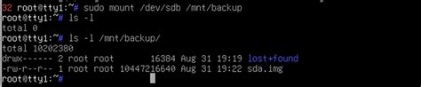 backup and image restoration using dd introserv