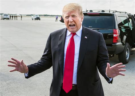 Donald Trump Picks Massad Boulos A Businessman And Tiffany Trumps