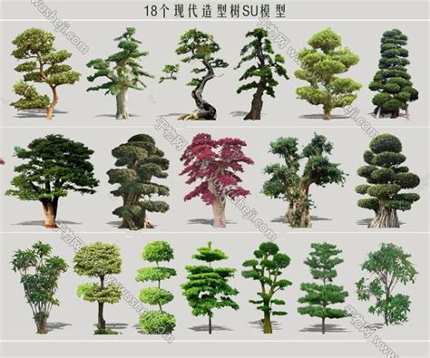 精品植物造型树造型松罗汉松榕树景观盆栽中式植物su模型185 艺术设计日志 于物设计