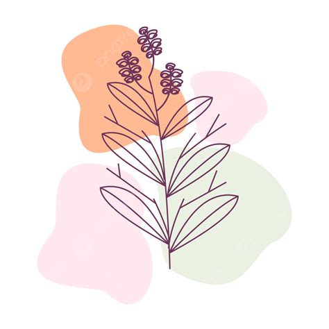 Línea Art Floral Color Y Formas Pastel Type 10 Png Dibujos Modelo