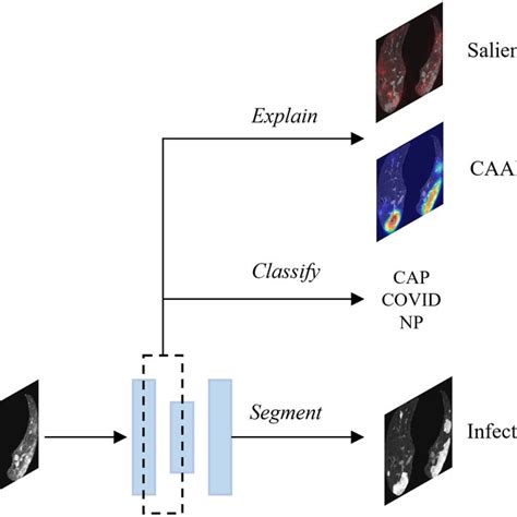 Illustration Of Our Multi Task Method Download Scientific Diagram
