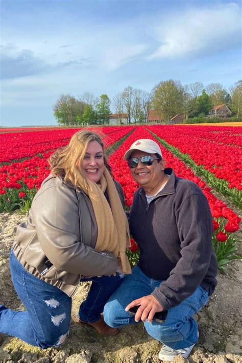 The Real Tulip Fields Tour Hidden Holland