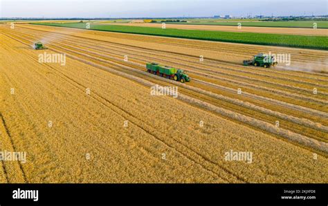 Aerial View Over Two Agricultural Harvesters Combines As They Cutting