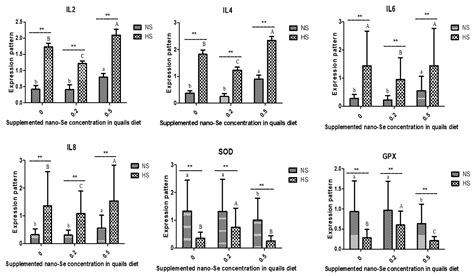 Veterinary Sciences Free Full Text Assessing The Impacts Of Different Levels Of Nano