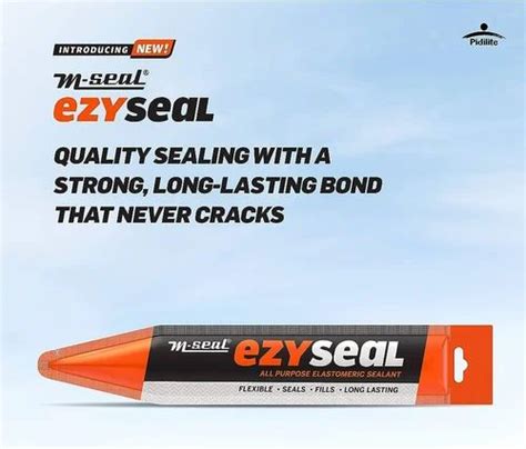 Pidilite Mseal Ezyseal Phataphat Fast Curing Compound At Best Price In Navi Mumbai