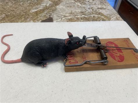 Big Block Rat Trap Team Chevelle