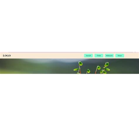 Preparing Professional Navbar For Websites By Mehmetalibuber Fiverr