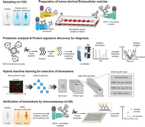 Early Prediction Of Recurrence Risk In Breast Cancer Patients With Blo Sportschosun