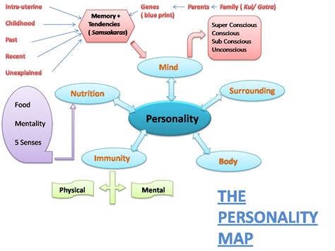 Brainberg The Personality Map