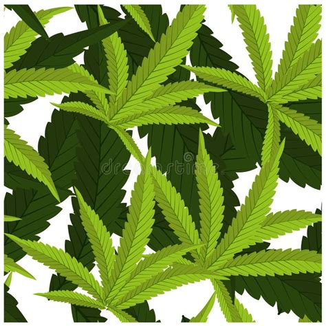 Beautiful Realistic Closeup Of Green Cannabis On Colorful Background
