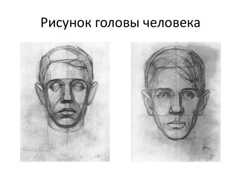 Портрет Конструкция головы человека и её пропорции 6 класс презентация онлайн