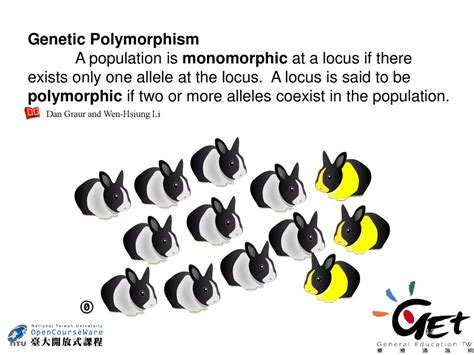 Chapter 3 Dynamics Of Genes In Populations Ppt Download
