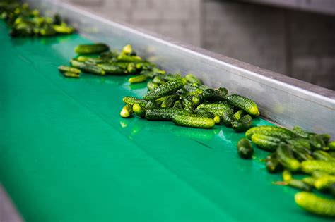 Pickle Slicer Funsteria
