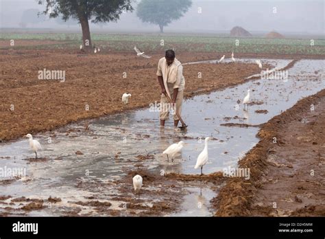 Irrigation De Surface