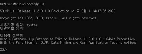 Oracle database 설치 확인 sqlplus
