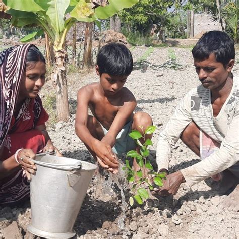 Smart Tree Plantation Initiative Wheels Global Foundation