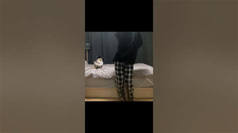 혜안 몰리와 띵띵땅땅 댄스 Youtube