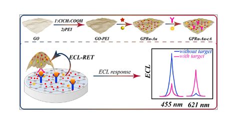 Dual Wavelength Ratiometric Electrochemiluminescence Immunosensor For