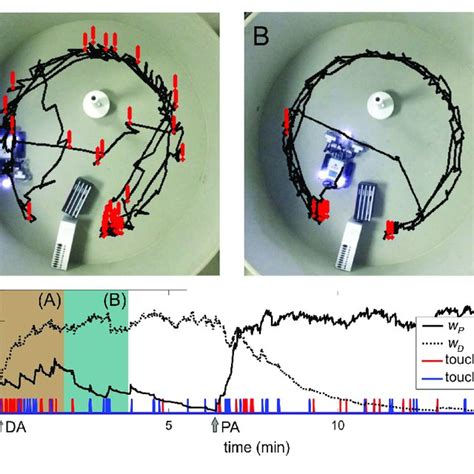 Detailed Spiking Neural Network Snn Architecture The Snn Network