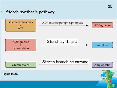 Ppt Chapter 20 Engineering Plant Quality And Proteins Powerpoint