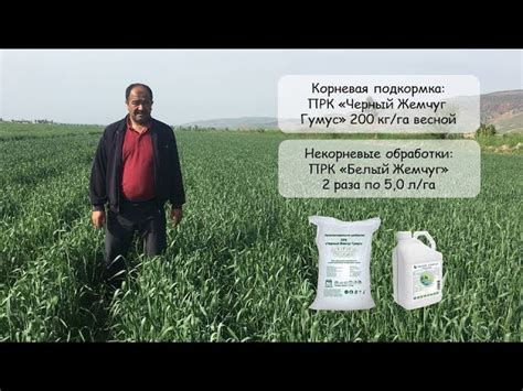 Купить удобрение Белый Жемчуг Универсальный | Официальный сайт ООО ...