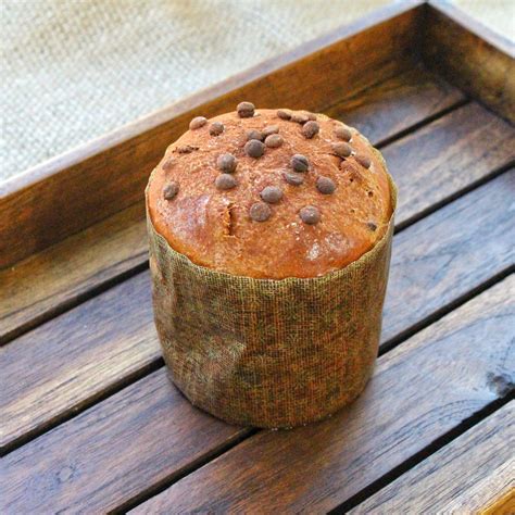 쇼콜라 파네토네chocolat Panettone Puratos