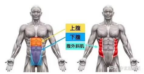 尝尽了似水流年不如说点干货 知乎