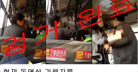 시내버스 할머니 폭행 중년 여성 검거 구속영장 신청