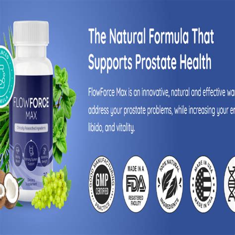 Flowforce Max Orderflowforcemax