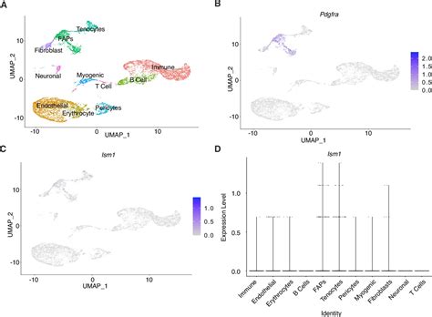 Figures And Data In Phosphoproteomic Mapping Reveals Distinct Signaling