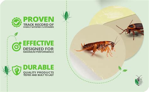 Roach Trap 12 Pack Sticky Indoor Glue Traps For Roaches And Other Bugs And Crawling Insects