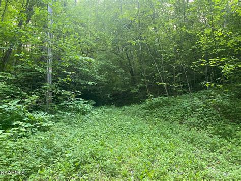 costner rd cosby tn 37722 see est value schools and more
