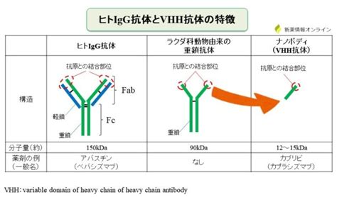 カブリビ（カプラシズマブ）の作用機序【ttp】 新薬情報オンライン
