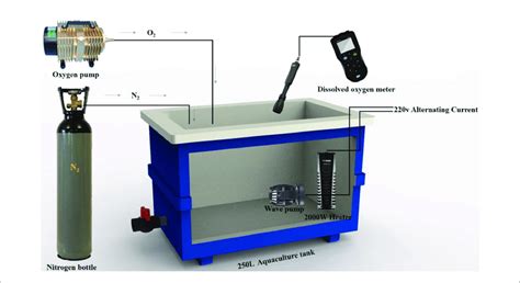 Temperature Dissolved Oxygen Control Device Download Scientific Diagram Temperature Dissolved Oxygen Control Device Download Scientific Diagram