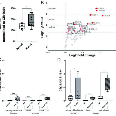Cholesterol Ester Fatty Acid Species Are Increased In Primary Human Download Scientific Diagram