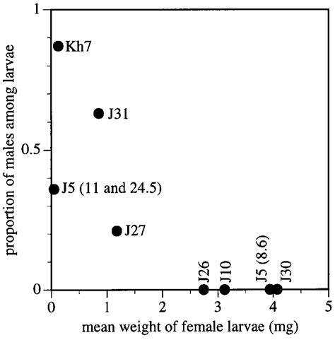 Sex Ratios Among Larvae As A Function Of Dry Weight Of Female Larvae Download Scientific Diagram