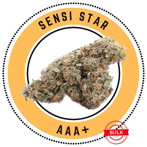 Buy Sensi Star Indica Dominant Hybrid AAA The Green Ace