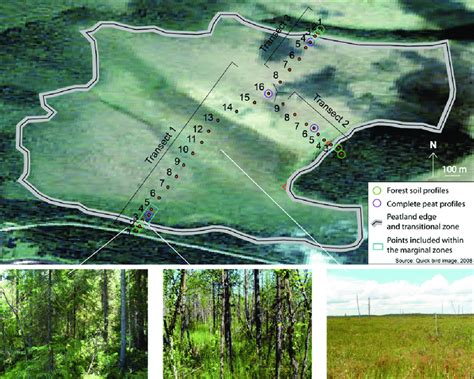 Total Ecosystem Carbon Storage Distribution Along The Three Download Scientific Diagram