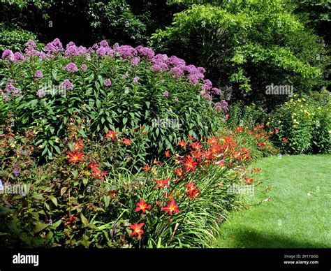 England Cornwall Trelissick Gardens National Trust A Colourful