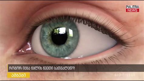 როგორ იქცა წყლის წვეთი სათვალედ Youtube