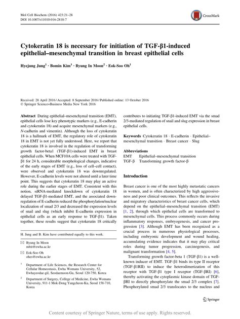 Cytokeratin 18 Is Necessary For Initiation Of Tgf β1 Induced Epithelial