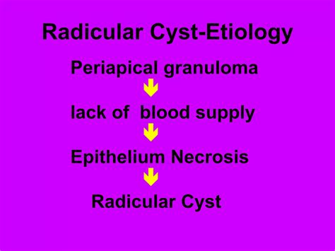 Differential Diagnosis Of Cystic Lesions Ppt