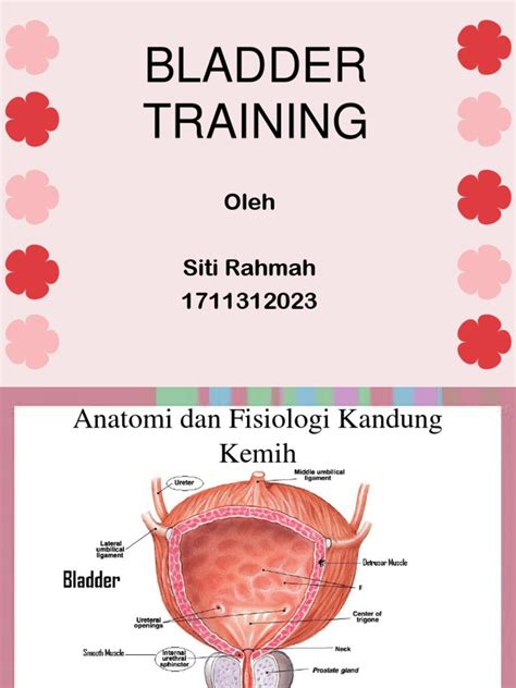 Bladder Training Pdf Griya And Taman Kesehatan Holistik